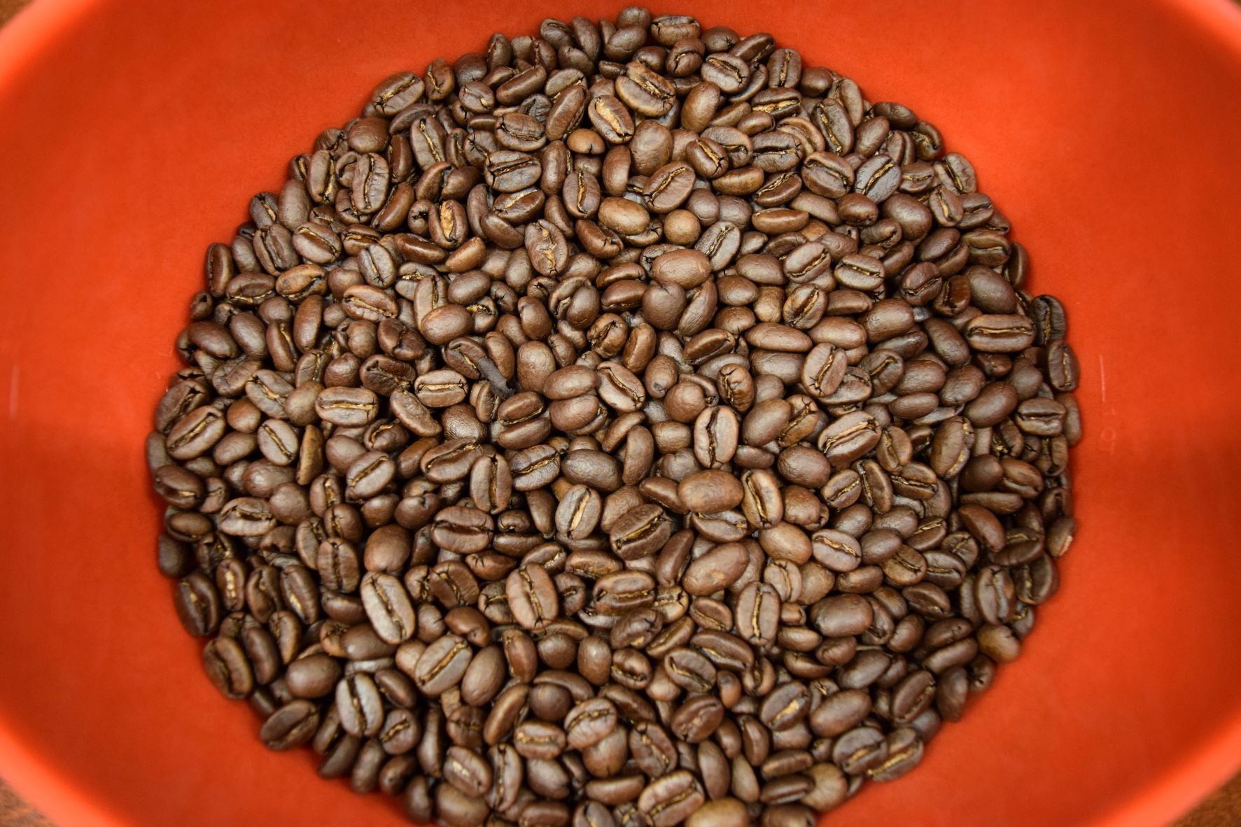 Java Tambak Ruyung – 5 Beans Coffee